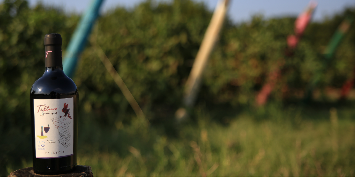 FAMIGLIA COTARELLA: IL SAPIENTE INTRECCIO FRA TERRA E VIGNE | Winelovery